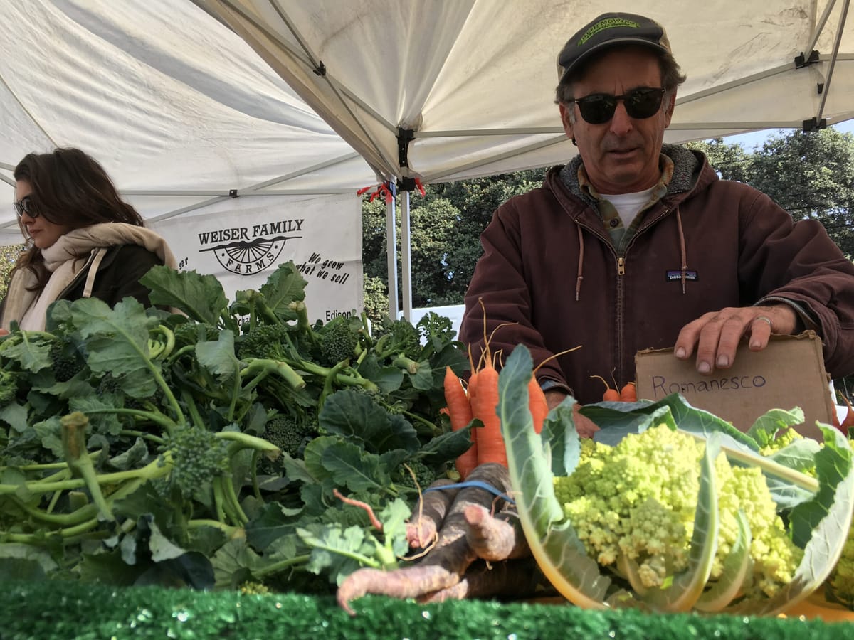 Fresh finds: Broccoli Rabe