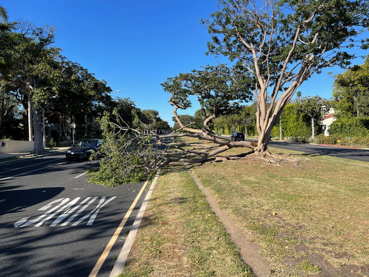 Wind and surf warnings issued