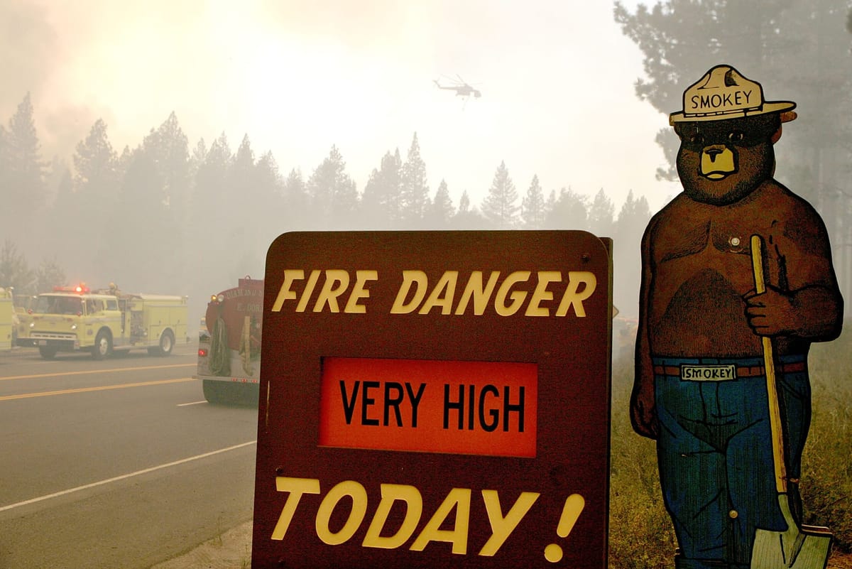 A Jewish Smokey Bear, I Wasn’t (Pt. 2)