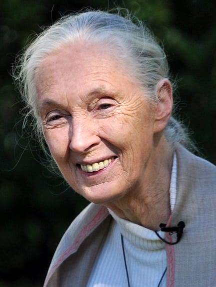 LOS ANGELES – Los Angeles honors Jane Goodall on her 85th birthday
